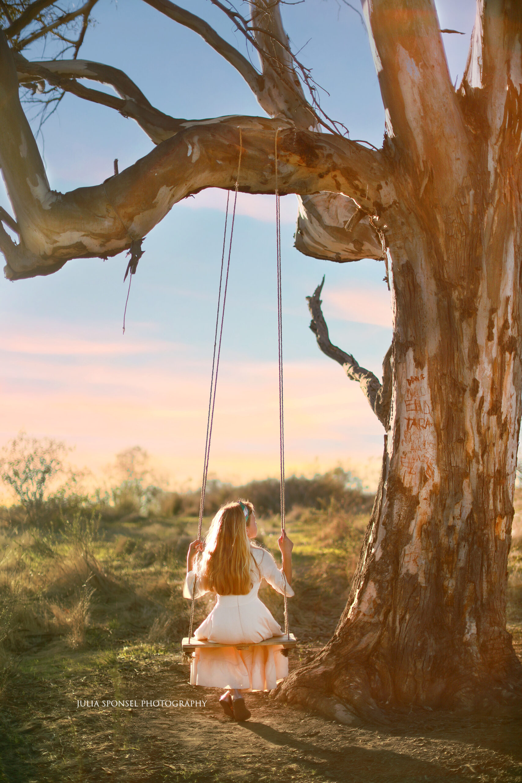 Swing from my Branches | Carlsbad Photographer » Julia Sponsel Photography